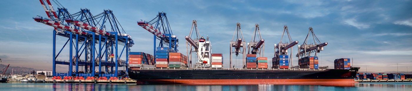 Pre Loading – Discharge Condition Survey - NICQ